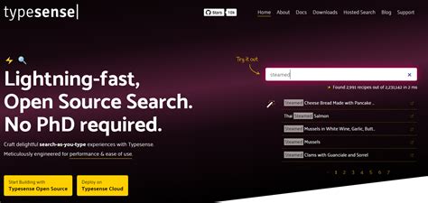 快如闪电的开源搜索引擎：typesense ，比elasticsearch更快更易用比es快十几倍的搜索引擎 Csdn博客