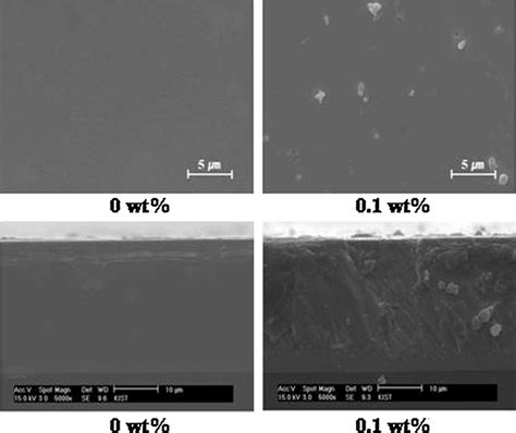 Surface Upper And Cross Sectional Lower Sem Morphologies Of The