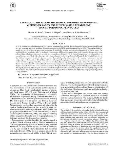 Pdf Epilogue To The Tale Of The Triassic Amphipod Rosagammarus