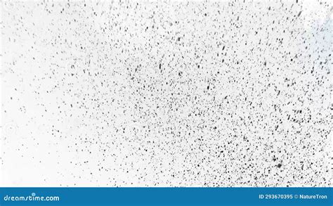 Fast Ascending Millions Of Tiny Particles Of Dark Dust On A White
