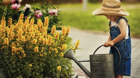 Si Të Mbroni Rrënjët E Bimëve Në Shtëpi Nga Kalbja Gazeta Shqip