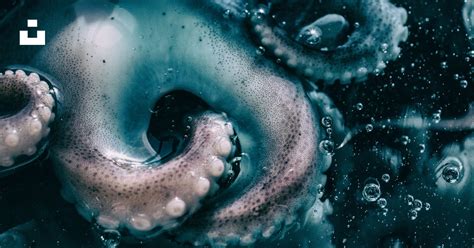 푸른 물에 물방울이 떨어진다 사진 Unsplash의 무료 낙지 이미지