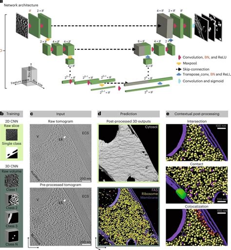 eric feuilleaubois ph d on linkedin ai helps scientists decipher