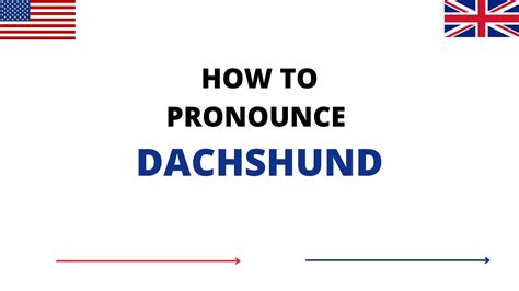 How To Pronounce Dachshund Dog Correctly In English Dachshund
