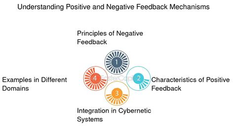 Examples Of Negative Feedback Loops