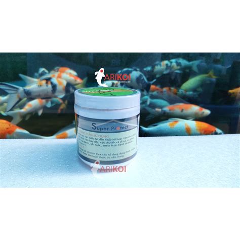 Mua B Sung Vitamin C Cho C Koi T Ng C Ng S C Kh Ng Ch Ng Shock Gi M Stress V Kh I U