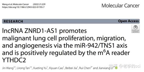 Mol Cancer 苏州医学院李建祥教授团队发表m6a甲基化相关最新研究成 知乎