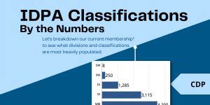 IDPA Classifications By Division Infographic International Defensive