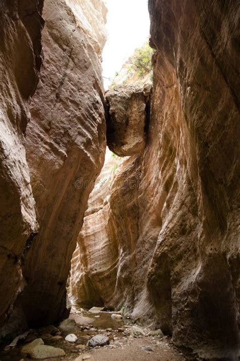 Avakas峡谷 库存图片 图片 包括有 峡谷 本质 石头 岩石 塞浦路斯 峭壁 小河 20043923