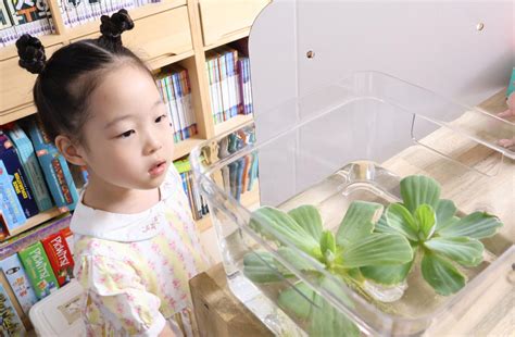 물에서 사는 생물을 관찰하기 좋은 계절 와이키즈 서포터즈 [와이맘k] 다이어리