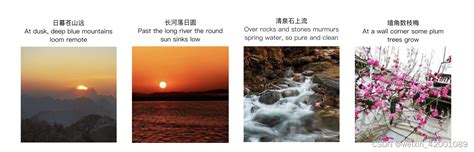 最新图文大一统多模态模型：flava flava模型 csdn博客