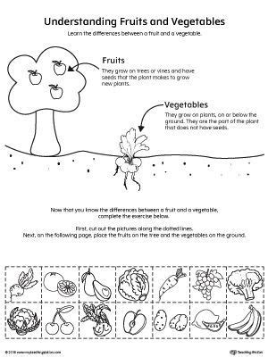 Fruits And Vegetables Worksheet For Preschoolers Vegetable Parts