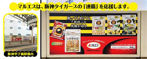 おつまみ、珍味、酒の肴のマルエス 株式会社マルエス