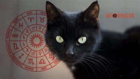 Момент точно не для важливих рішень та авантюр гороскоп на 3 жовтня Читайте на Ukr Net