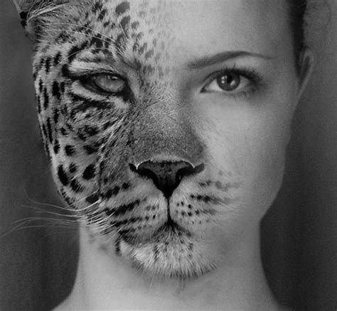 Girl Leopard Hybrid Face Art Hybrid Art Human Art Animal Faces