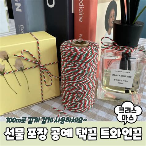 다모아트리
