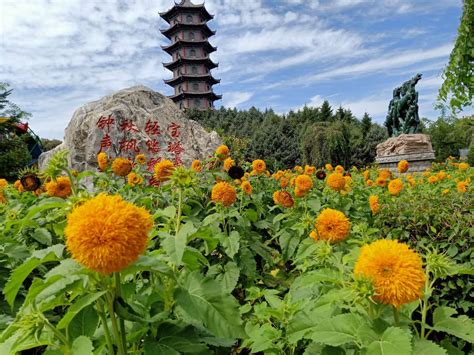 沈阳三农博览园