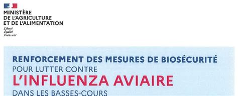Influenza aviaire élévation du niveau de risque La Ferté Saint Aubin