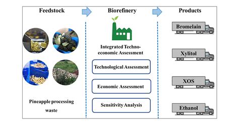 Process Design And Techno Economic Feasibility Analysis Of An