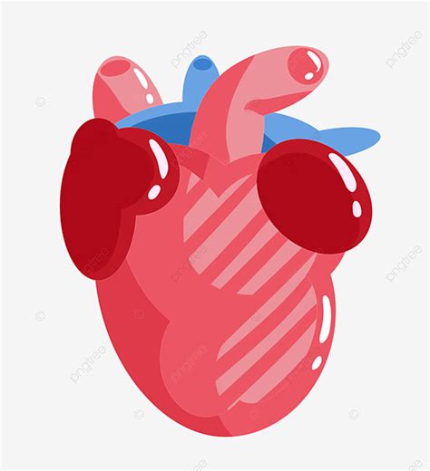 심장 일러스트 박동 만화 장기 인간의 뛰는 심장 만화 삽화 장기 삽화 Png 일러스트 및 Psd 이미지 무료 다운로드