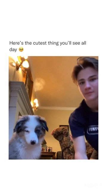 Puppy Unitys On Instagram The Head Turns Via Andrew Jones