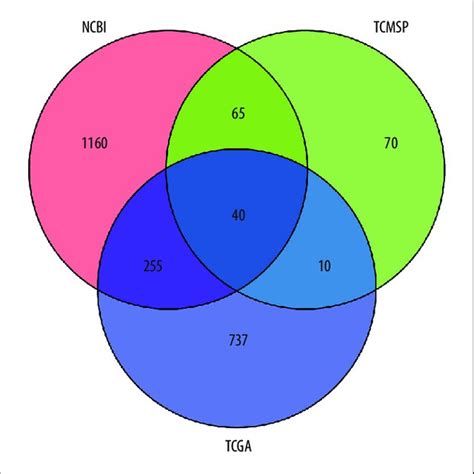 Enrichment Analysis Of Kegg Signaling Pathway Kegg Kyoto Encyclopedia