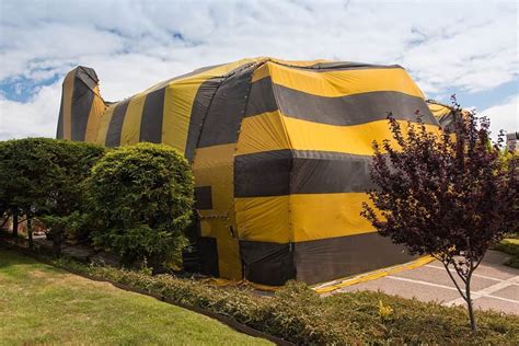 Dangers Of Fumigation What Are The Side Effects Of Fumigation