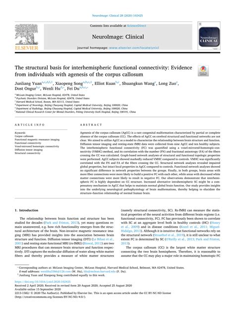 Pdf The Structural Basis For Interhemispheric Functional Connectivity Evidence From