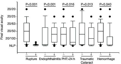 Preoperative Factors Correlated With Visual Prognosis Rupture Of The