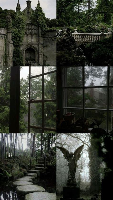 Pin By Niz On Fondos In 2024 Dark Green Aesthetic Dark Nature