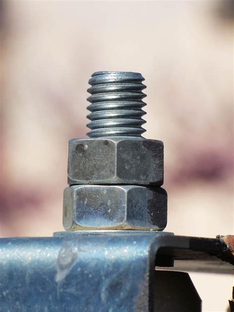 Unlocking Connection The Science And Secrets Of Compatibility In Relationships Fishiology