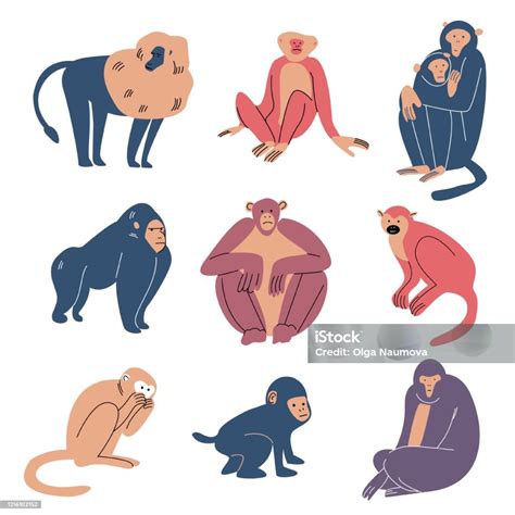매일 일 벡터 일러스트를 하고 있는 다양한 원숭이의 세트 0명에 대한 스톡 벡터 아트 및 기타 이미지 0명 다양 개념 Istock