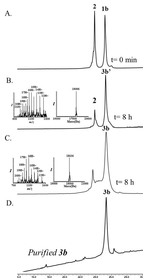 Figure S5 Synthesis Of Tamra Cys Acm Lys63 Linked Diub 3b A Download Scientific Diagram