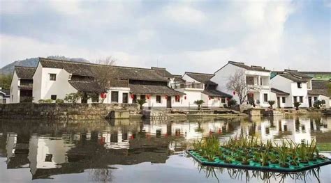 我司参与起草的《未来乡村建设规范》团体标准发布宇联浙江发展