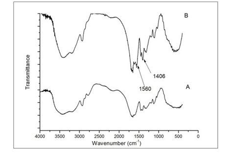 Ftir Spectra Of A Polyacrylamide Gel Without Alkaline Hydrolysis And