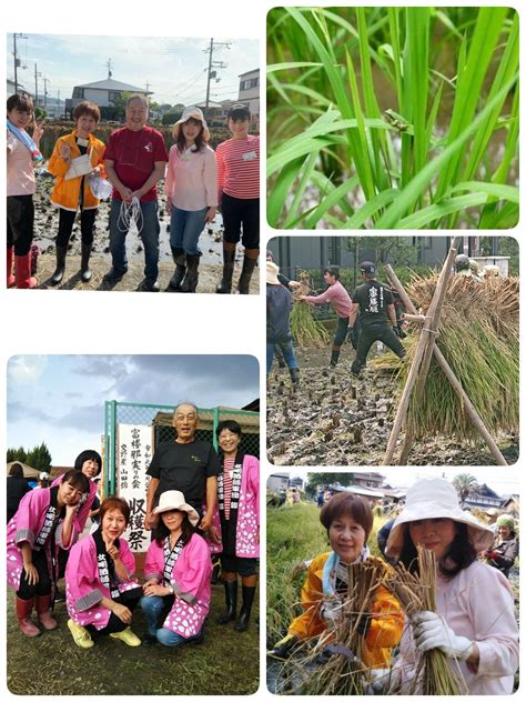 女きき酒師軍団 関西 10 27 日）に大阪・交野市にある『片野桜』で有名な「山野酒造」さんの社田の収穫祭で稲刈り