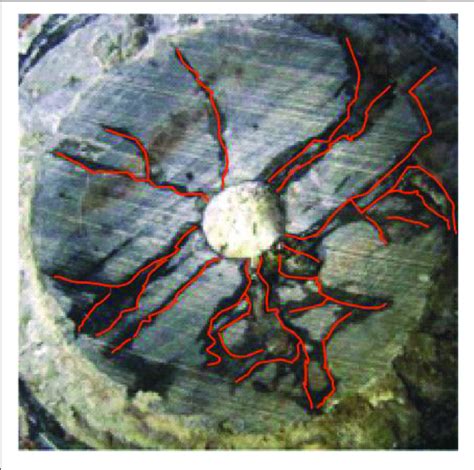 Fracture Network Morphology In Unconventional Reservoirs Guo Et Al