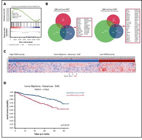 Figure 3 From Akt Signaling Restrains Tumor Suppressive Functions Of