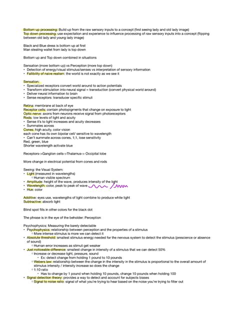 lecture 8 sensation and perception intro to psych bottom up
