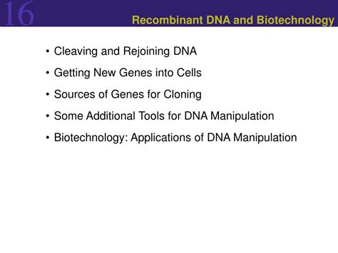 Ppt Recombinant Dna And Biotechnology Powerpoint Presentation Free