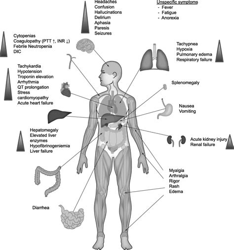 Cytokine Release Syndrome Meded Cases
