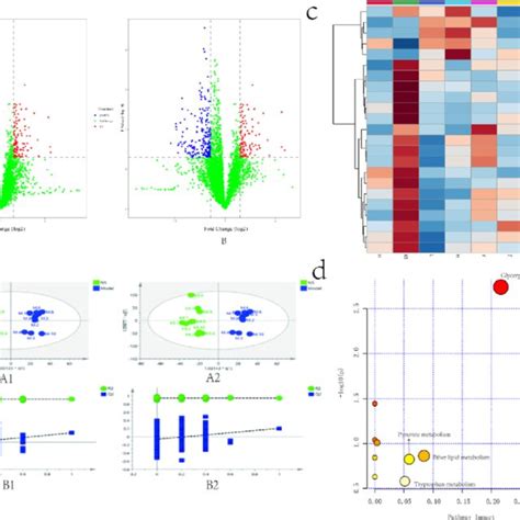 Multivariate Statistical Analysis Of Metabolites Of Rat Samples A