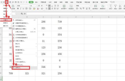 excel表格怎么让数字 不显示出来 Excel数字为 不显示设置教程图解 Excel 教程之家
