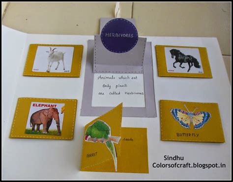 Colors Of My Crafty World Eating Habits Of Animals School Project