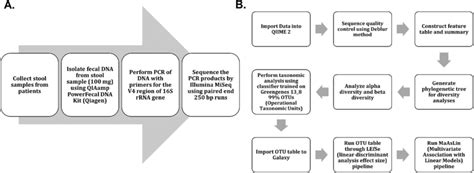 Sample Collection Process And Data Analysis Workflow A Workflow From