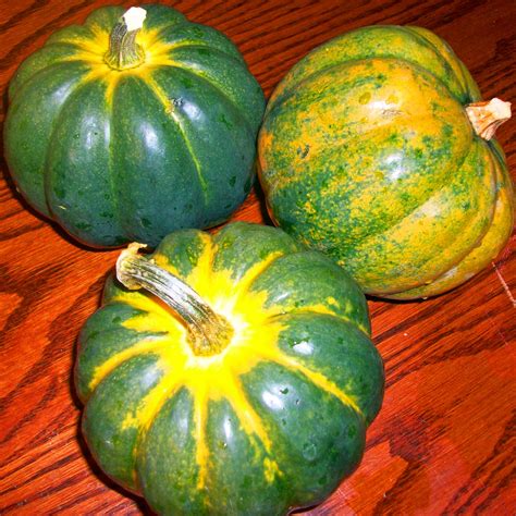 For Me Its Not Officially Autumn Until Ive Brought Home Fresh Picked Acorn Squash My Acorn