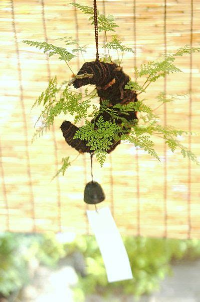 二十四節気「大暑たいしょ」。酷暑を乗り切る和の暮らしの知恵tenkijpサプリ 2016年7月22日 日本気象協会 Tenki