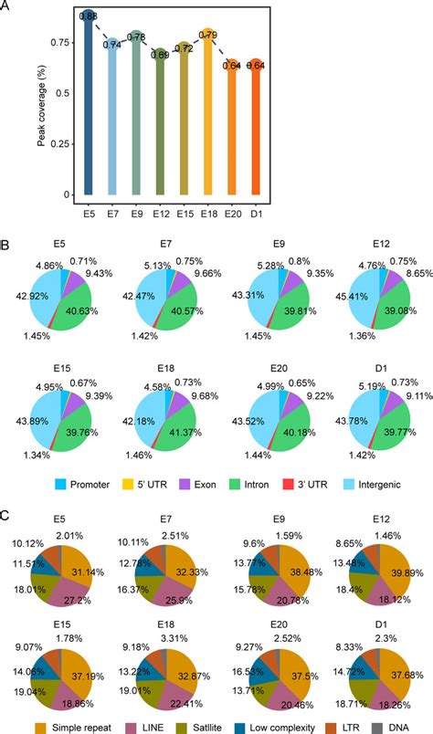 Dna N 6 Methyladenine 6ma Dynamics During Embryonic Chicken Muscle