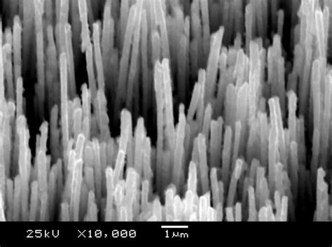 Copper Nanowires High Purity Less Price Worldwide Shipping