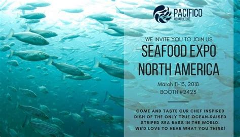 Daniel Navarro Posted On Linkedin